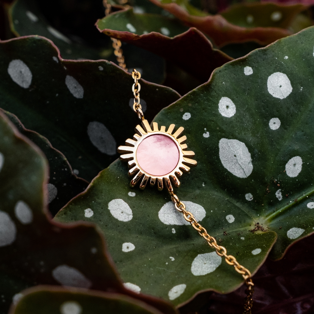 Shade Bracelet (Pink Nacre/Gold) I Holzkern Wood Watches